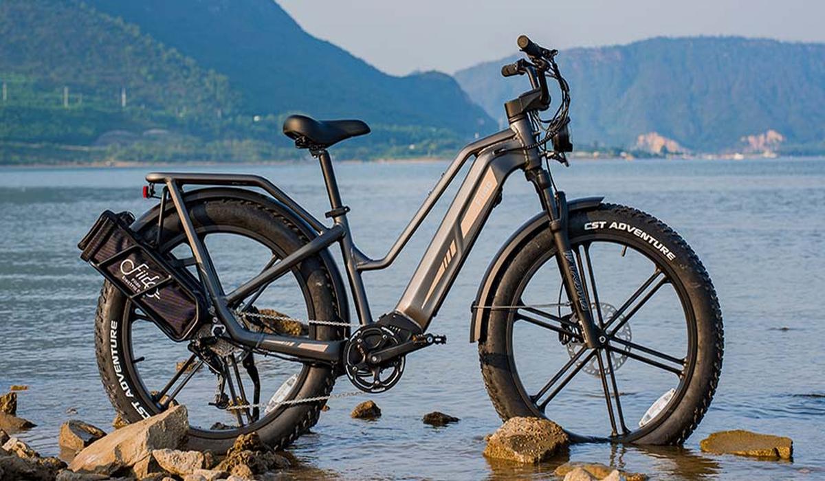 Fiido Titan Electric Bike Comprehensive Guide