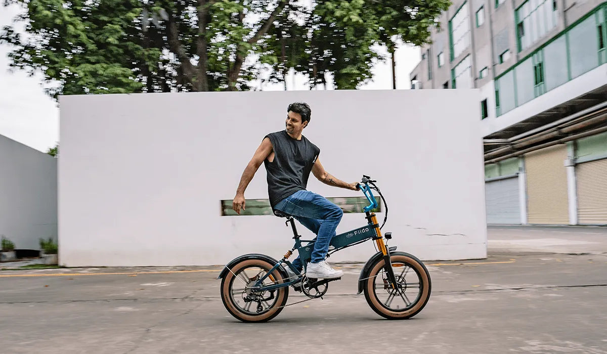 Fiido M3 and M21 Discontinued? Explore More