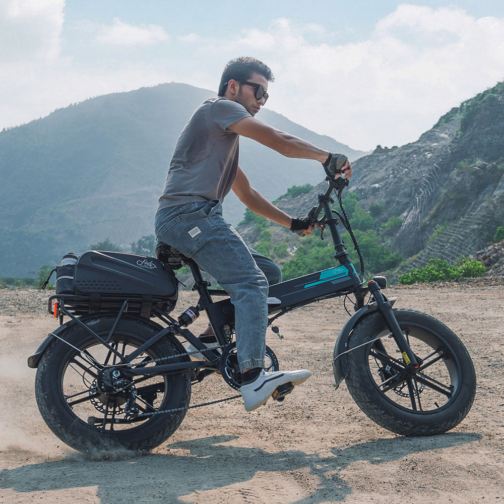 Fiido M1 Pro - Fat Tire Folding Electric Bikes