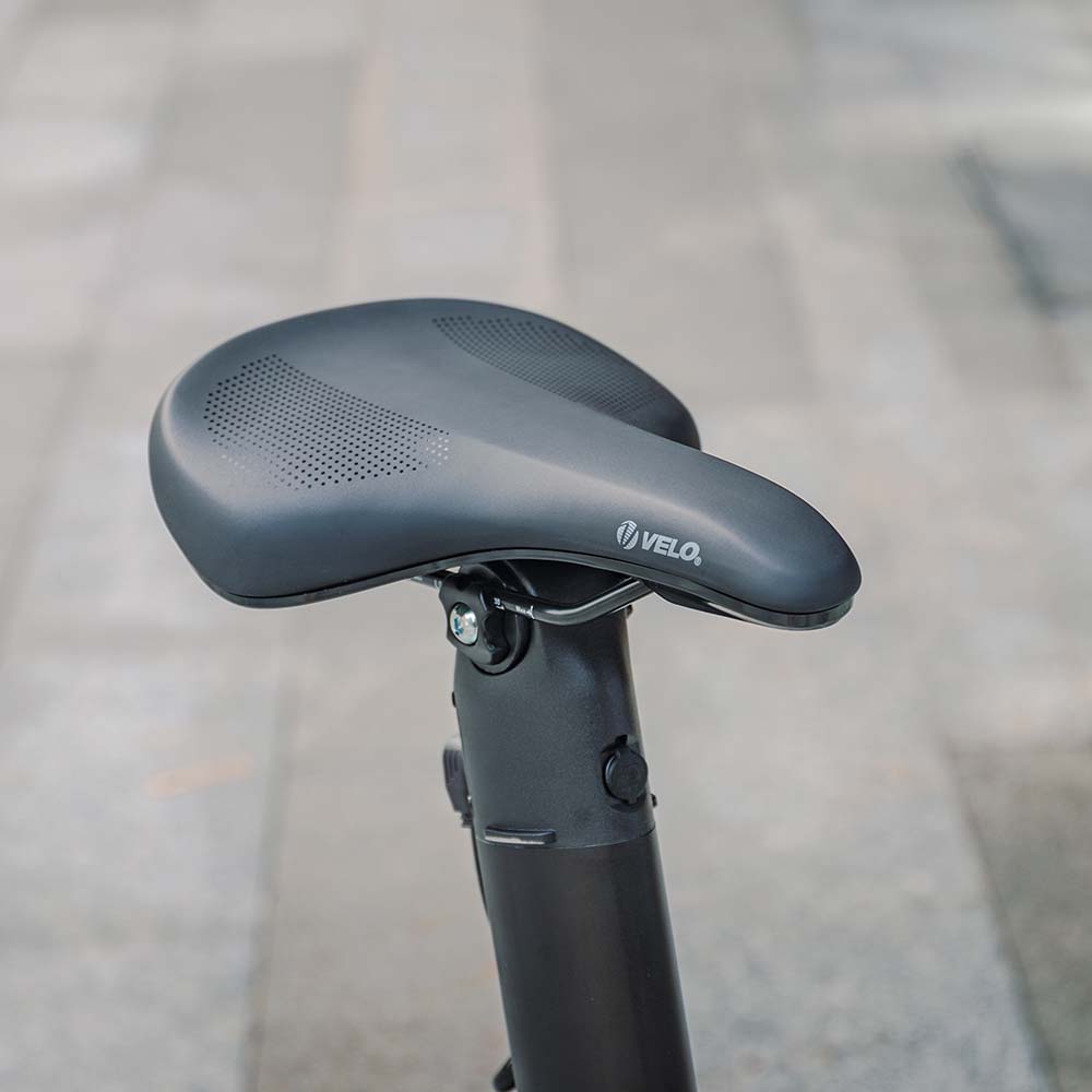 Fiido D11 - Folding Lightweight Long Range Ebikes