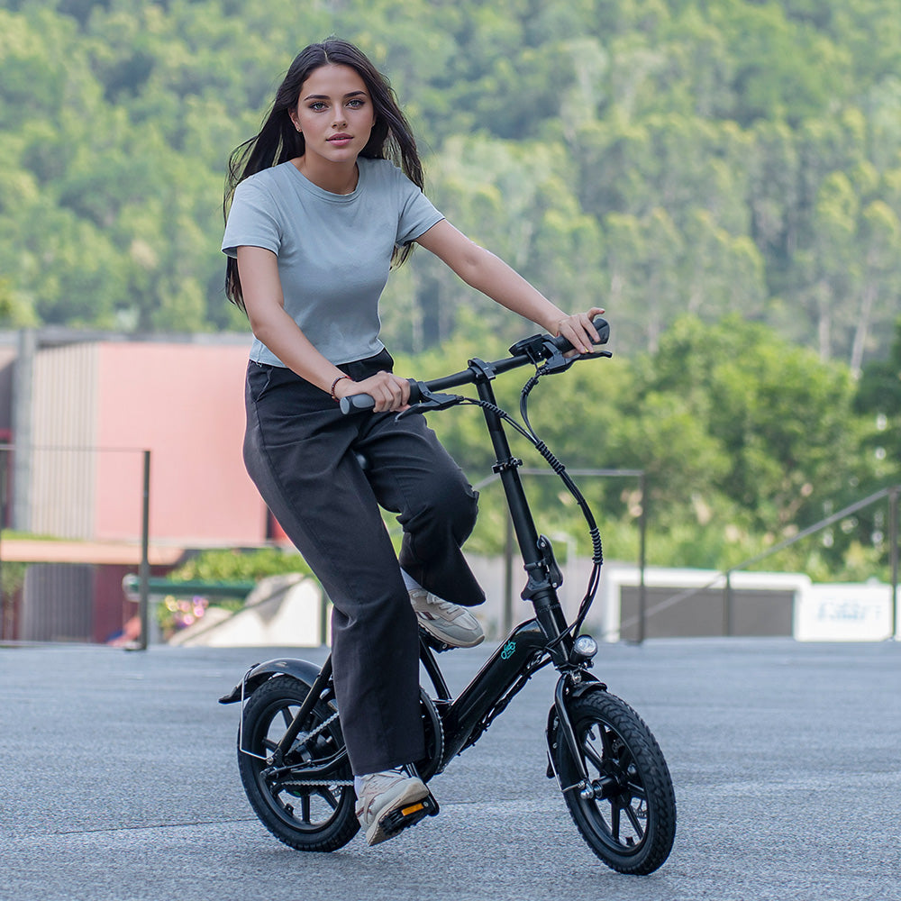 Fiido D3 Pro - Affordable Mini Ebike for City & Casual
