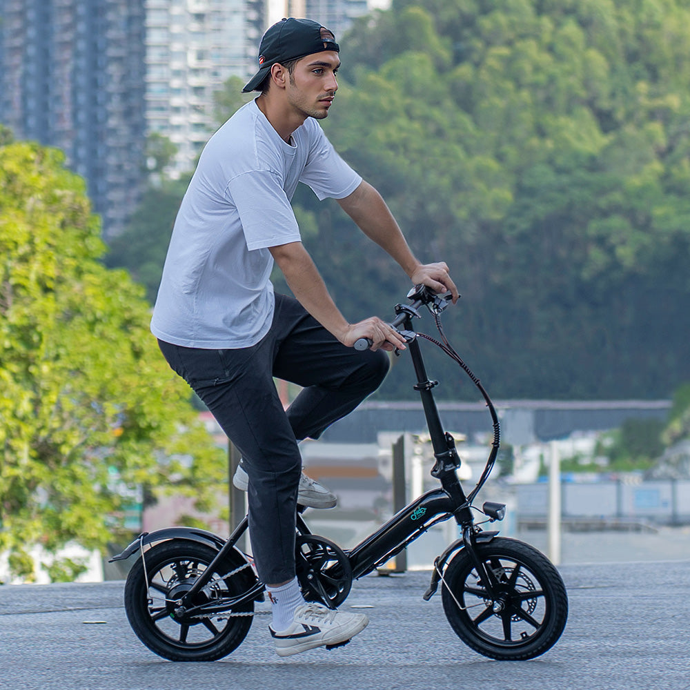 Fiido D3 Pro - Affordable Mini Ebike for City & Casual