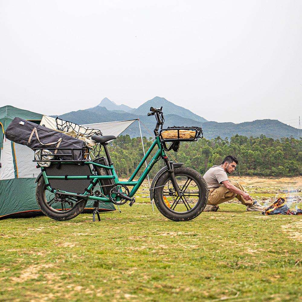 Fiido T2 - Longtail Versatile Cargo Ebike