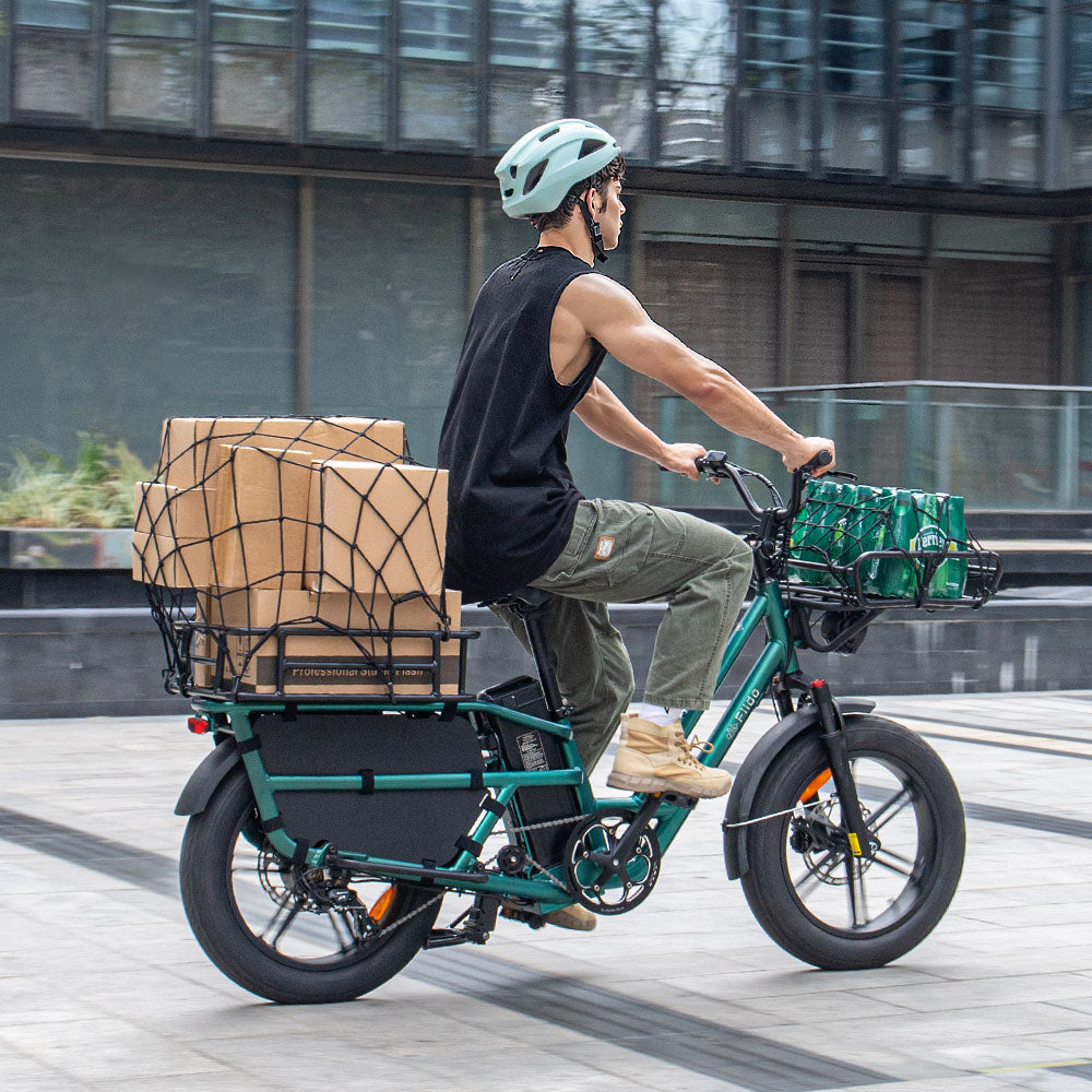 Fiido T2 - Longtail Versatile Cargo Ebike